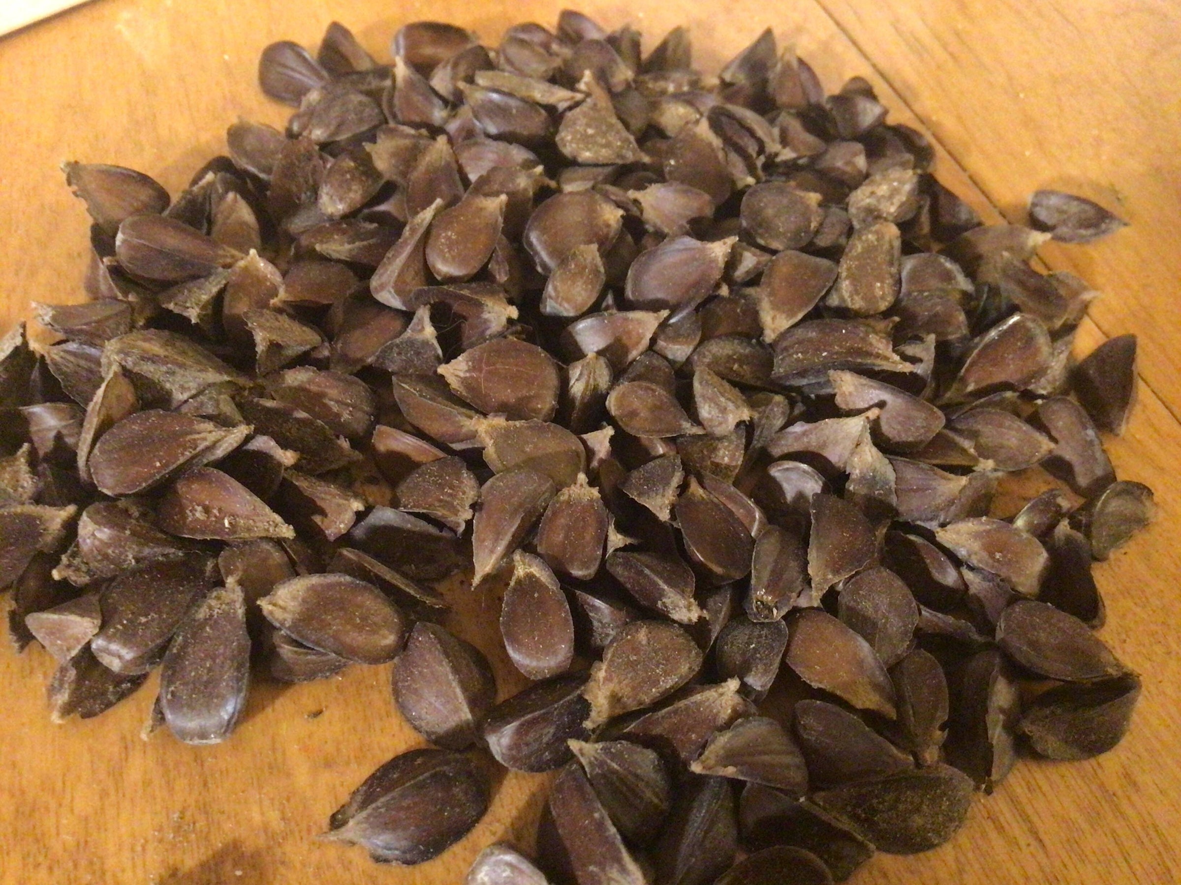 Tree seeds